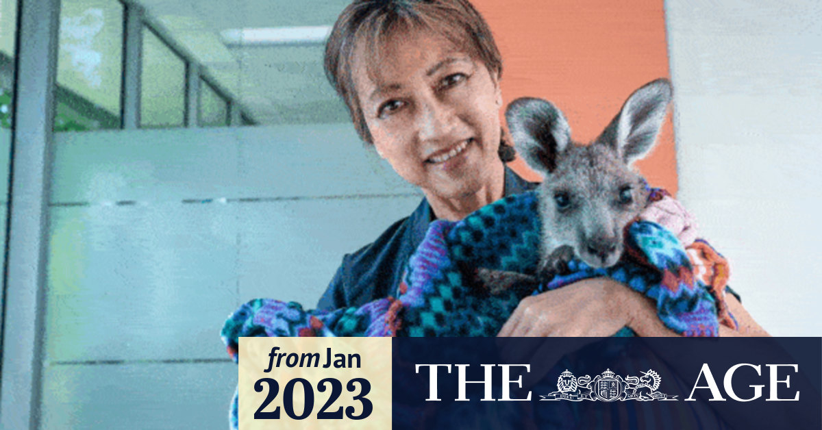 Australia Day Honours 2023: They do it for love: meet the local heroes that give back to Victoria